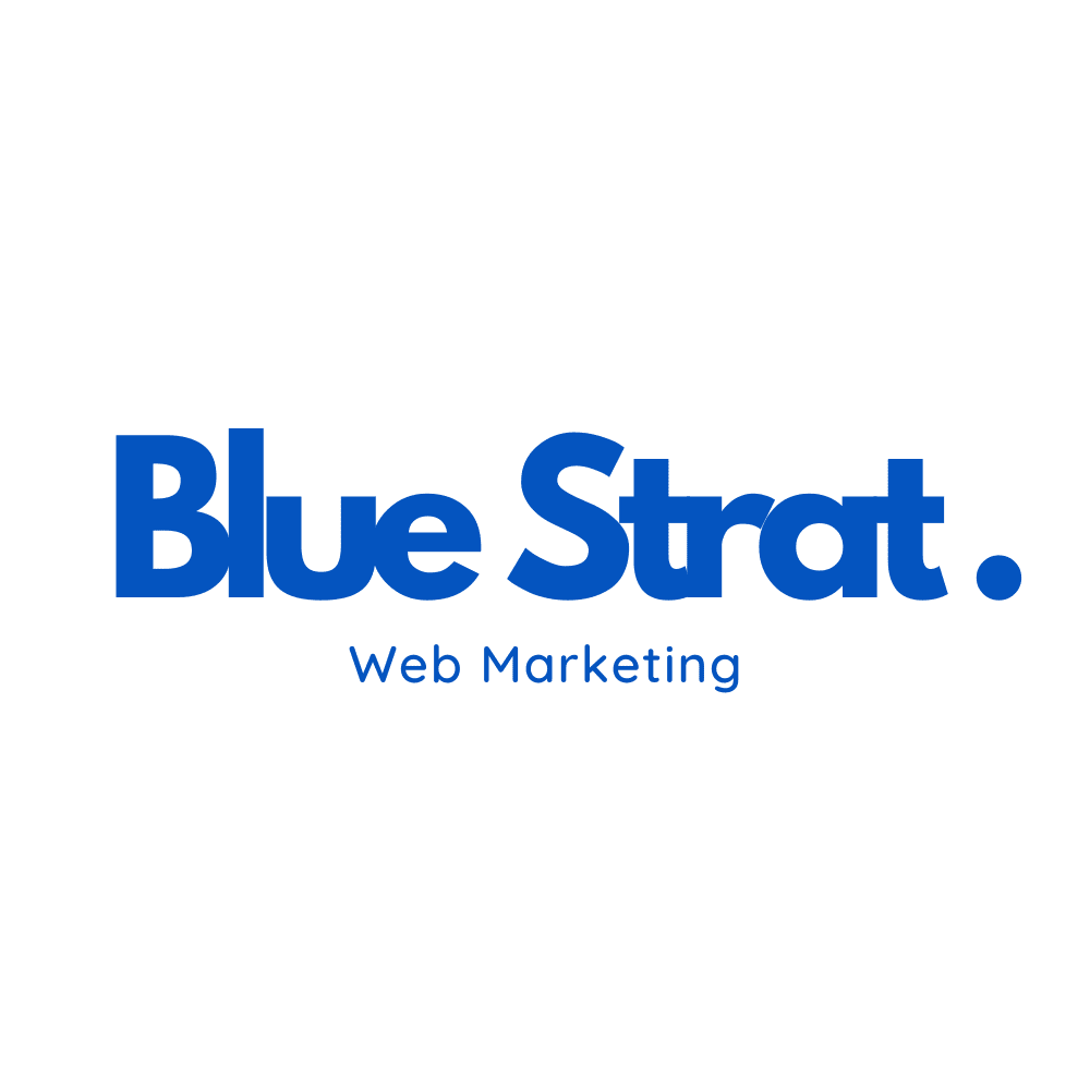 Blue Strat | Gestion des Médias Sociaux | Agence Web